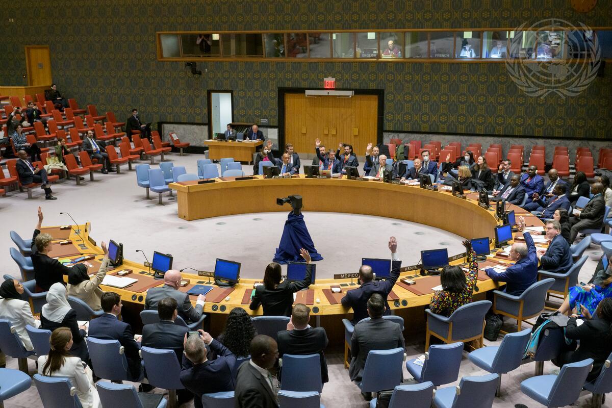 A Year of Peace and Respect for Humanity; looking forward to 2023 ...